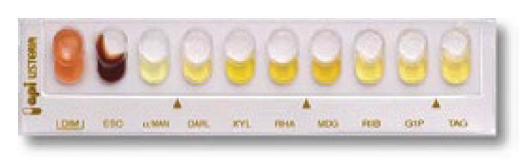 Biomerieux梅里埃 API细菌鉴定板条和配套试剂 手动微生物鉴定系统